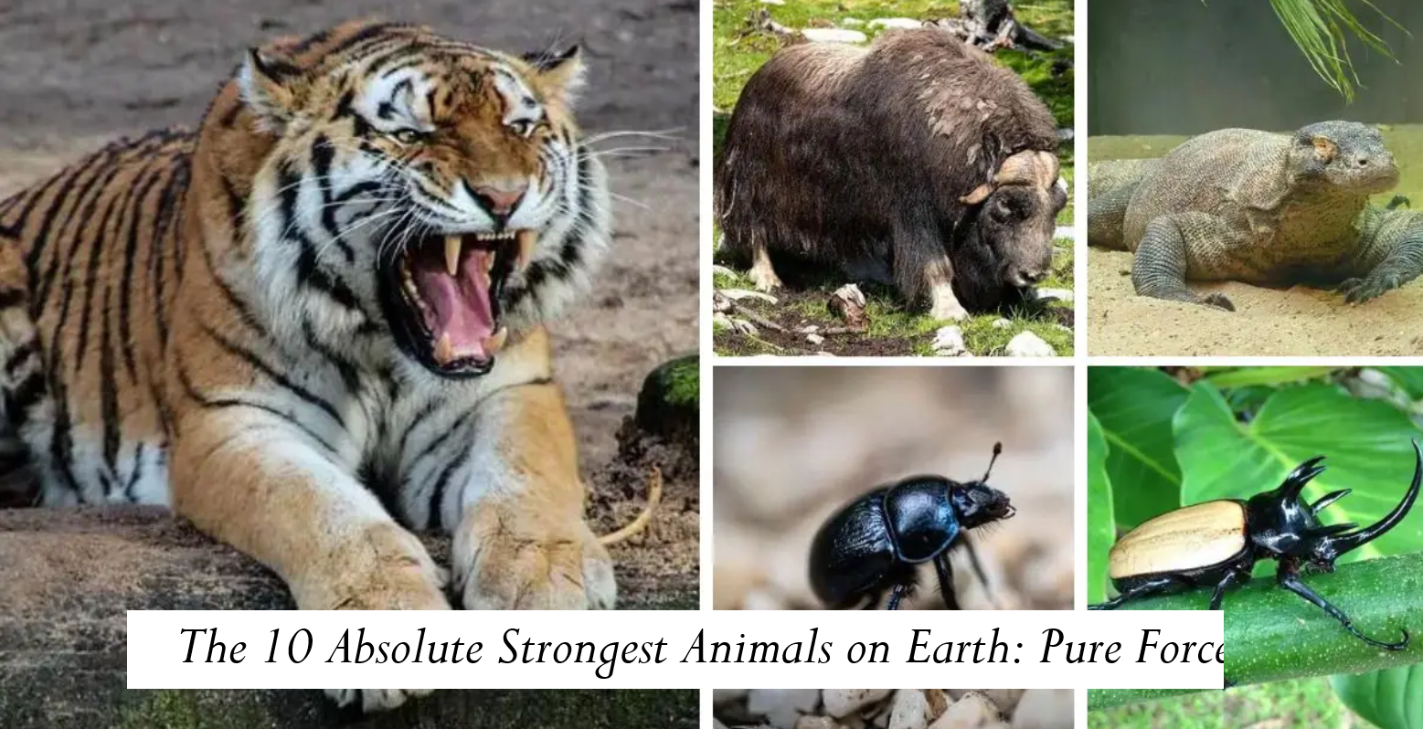 The 10 Absolute Strongest Animals on Earth: Pure Force - Kumpulan ...